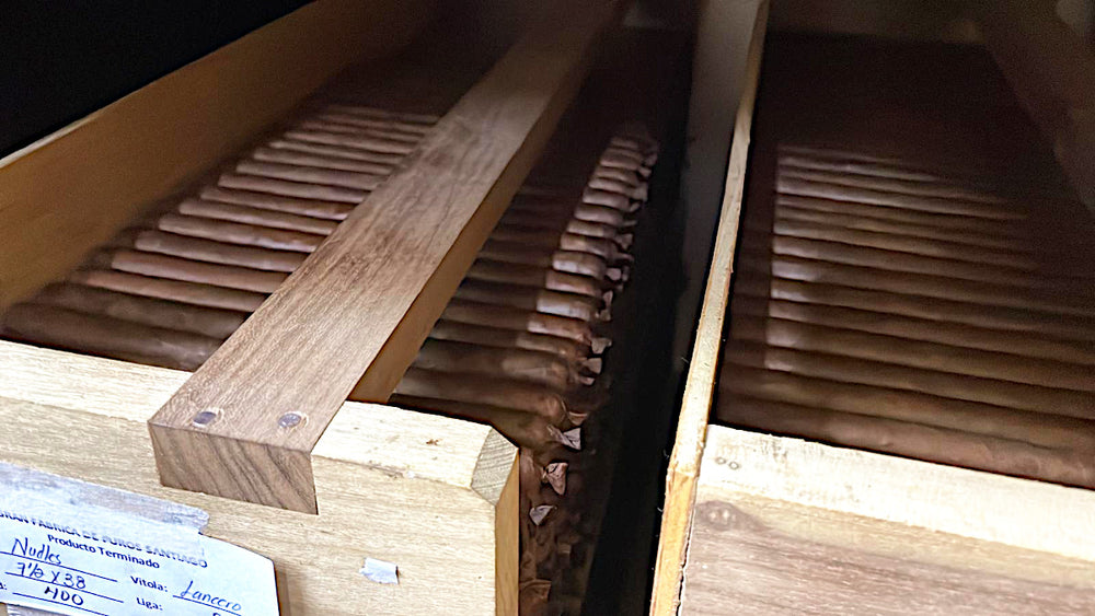 Puro Desnudo - Lancero N1 - Bundle (25) – Fabrica5