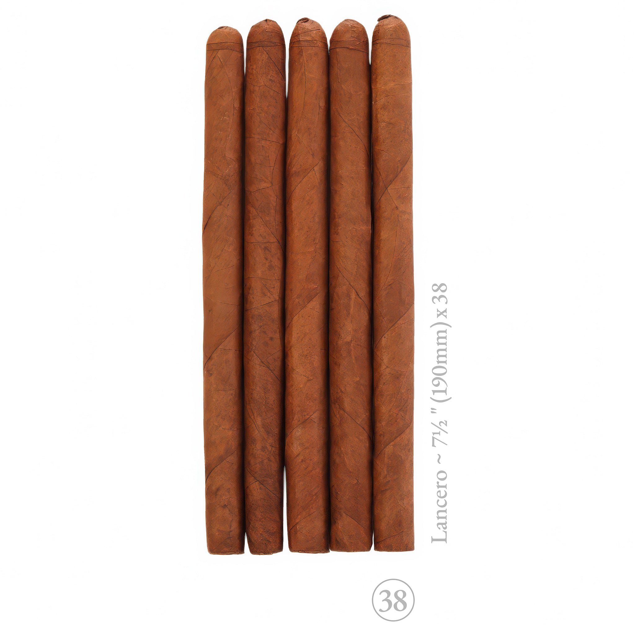 5-Pack Puro Desnudo N1 Lancero – Fabrica5